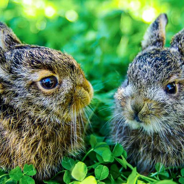 Este es el extraordinario gesto de un agricultor que se encuentra una ...