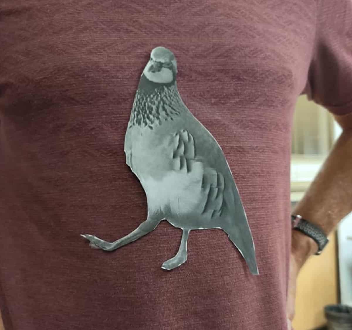 La perdiz Tako y su dueño empiezan una nueva andadura para promocionar ...