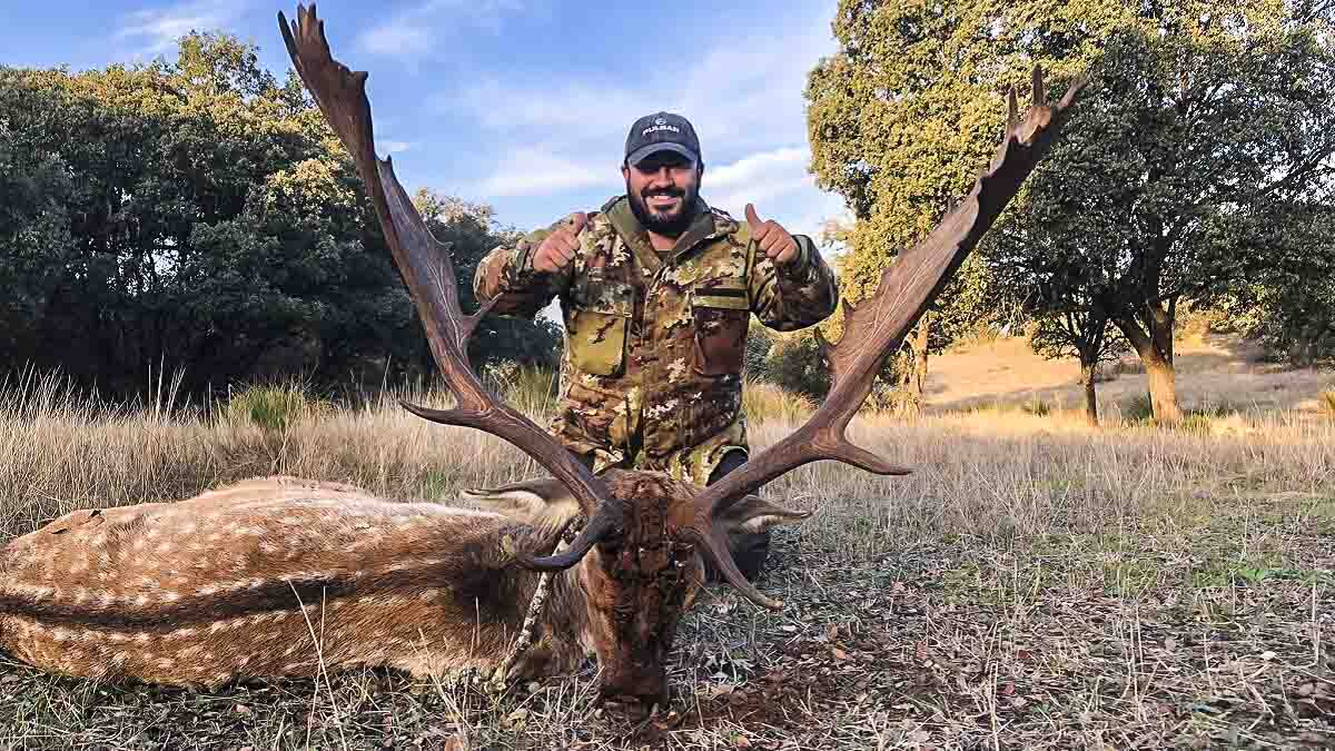 Caza un imponente gamo de cerca de 200 puntos en los Montes de Toledo