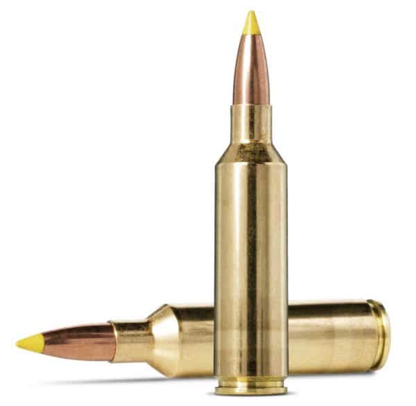 Así es el .270 Winchester Short Magnum: el rey de los calibres cortos ...