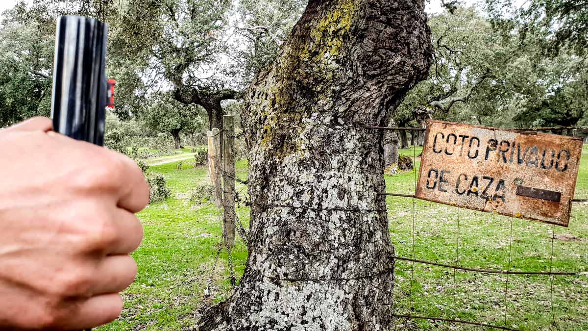 Todos los cotos privados de caza de Castilla-La Mancha tienen que ...