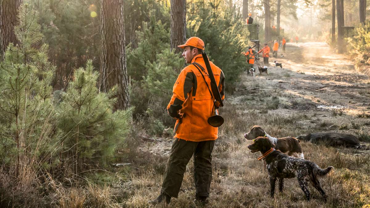 Un nuevo proyecto de ley propone prohibir la caza los fines de semana ...