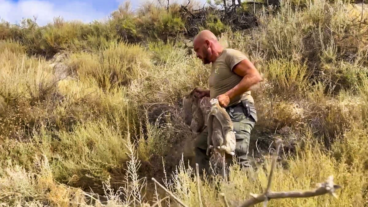 El Pencho muestra qué es lo que hace con los cientos de conejos que captura