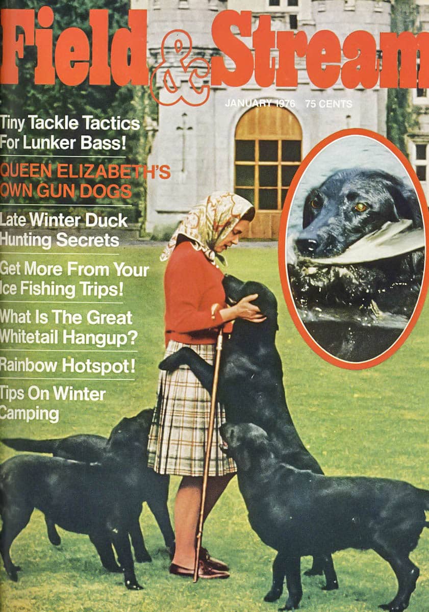 Así eran los perros de caza de la reina Isabel II, gran apasionada de ...