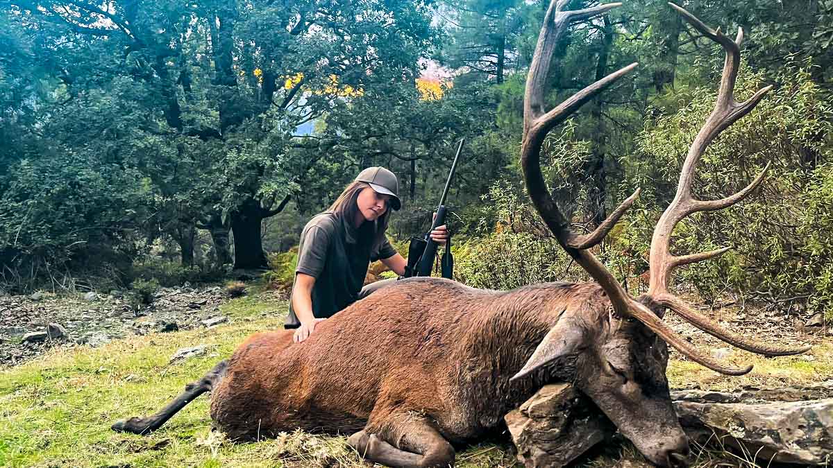 Preparar Adecuadamente Un Ciervo Para El Campo