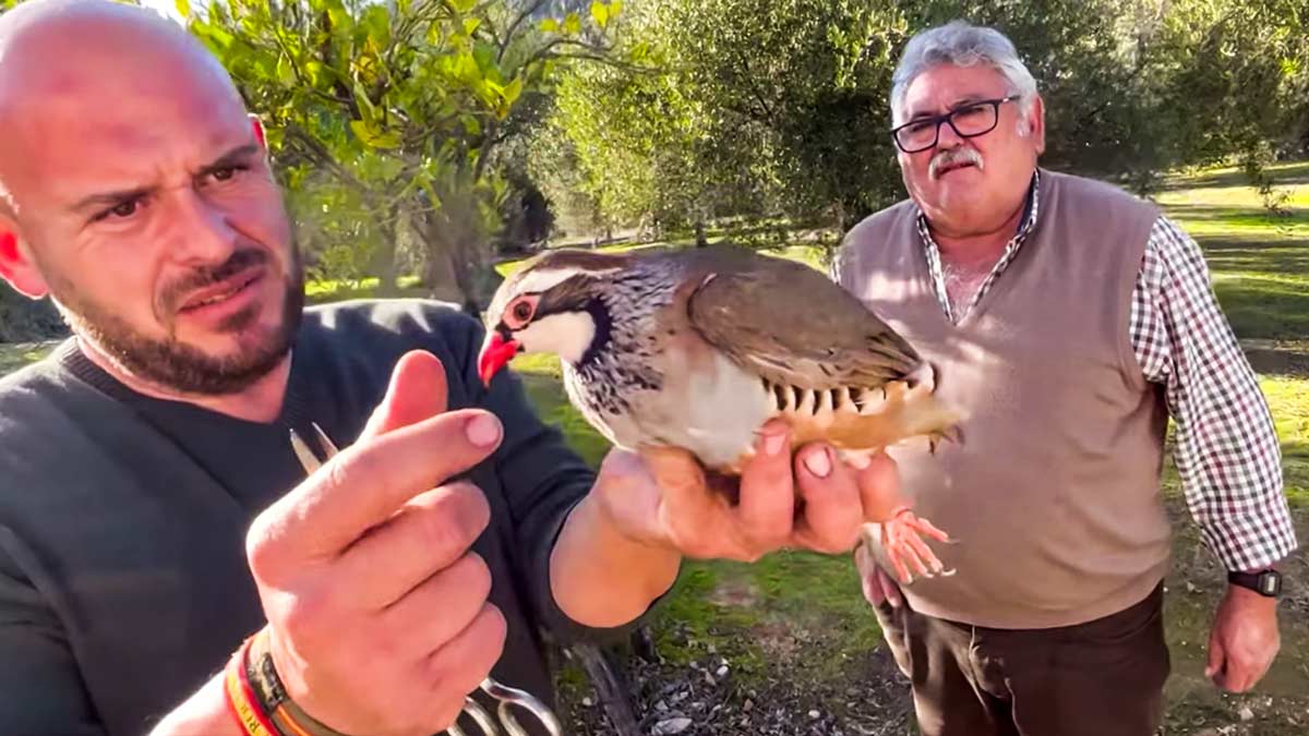 El Pencho recorta las alas a la perdiz roja para cazar con reclamo ...