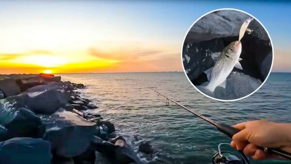 Consejos para encontrar (y pescar) peces de agua salada en invierno