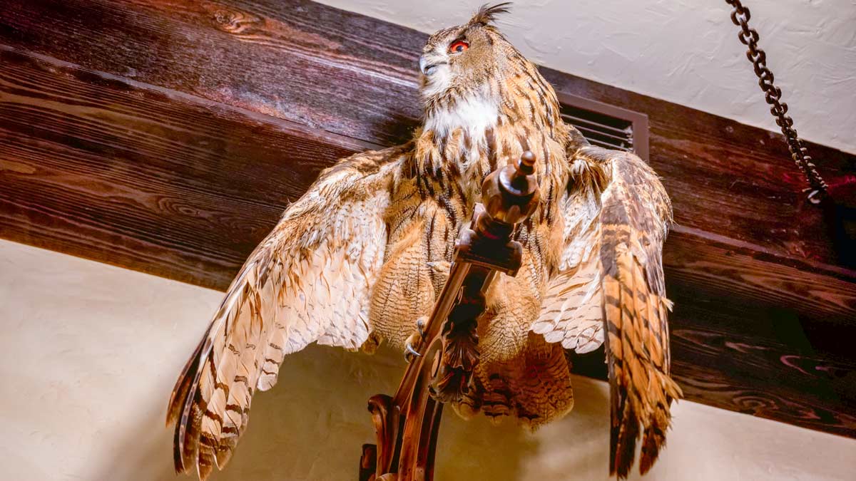 «Esto lo pones en Milanuncios y te sacas unos euros»: Olvídate de ...