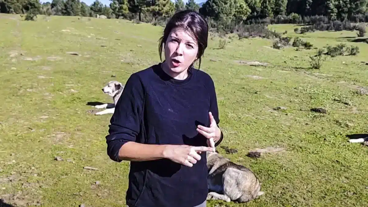 ¿Dar un cachete a tiempo a un perro? Esta joven pastora explica cómo ...