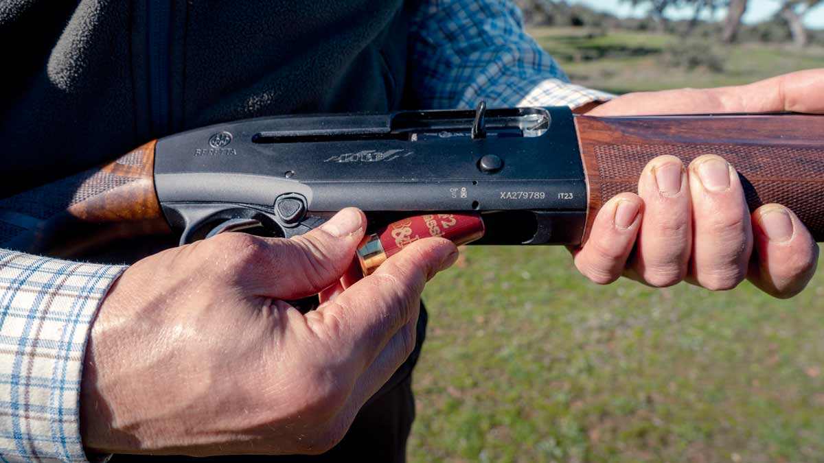 Cazando perdices con perro de muestra y la Beretta A400 Lite Wood ...
