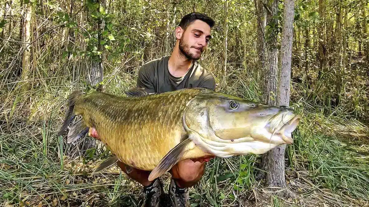 Pescan un enorme barbo de 17 kilos en Las Lagunas de Ruidera