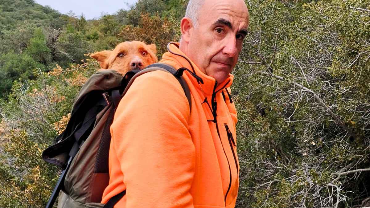 Un cazador rescata de forma heroica a su perro, atrapado en un barranco ...