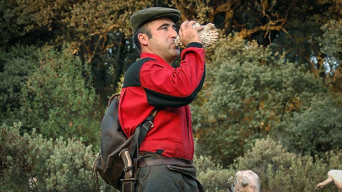 Se busca a la persona que mejor toque la caracola en España