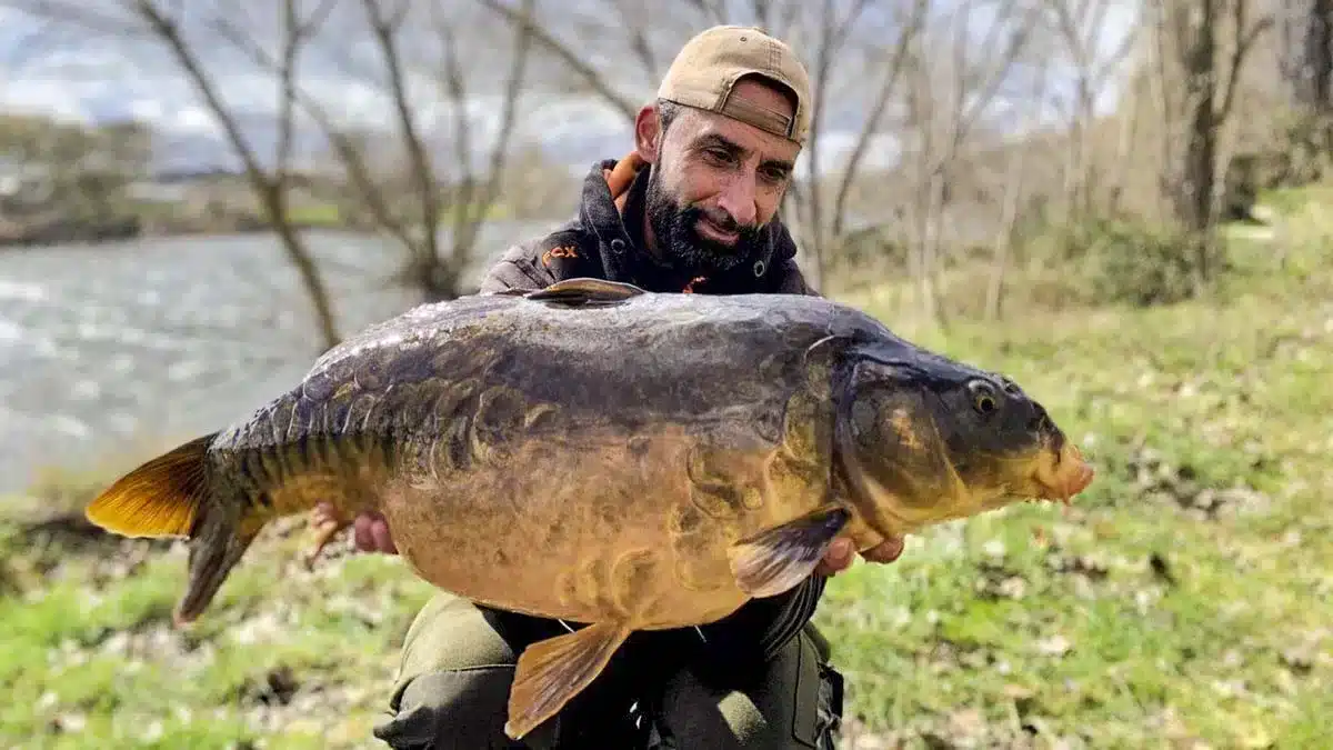 Tres consejos infalibles para atraer más peces a tu zona de pesca