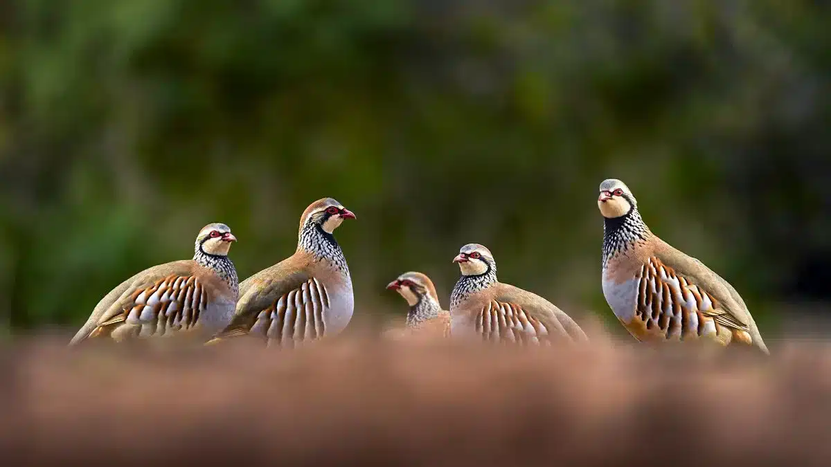 CLM ofrece 230.000 euros por el mantenimiento y desarrollo de un centro ...