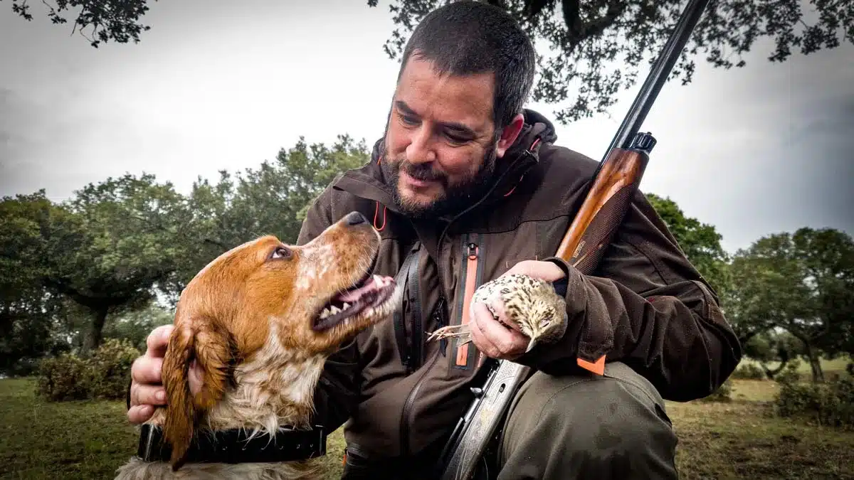 El perro, la caza y el hombre: pasado y futuro de una historia que ...