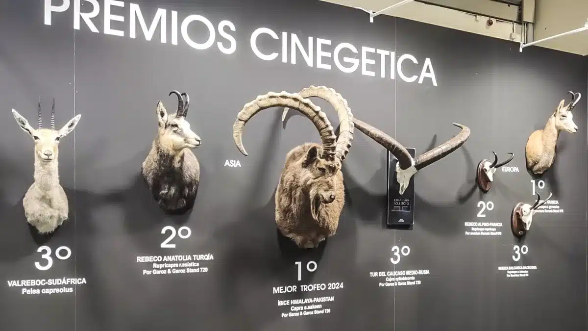 En marcha la XII edición de los Premios Cinegética+SCI 2025 para trofeos extranjeros de caza