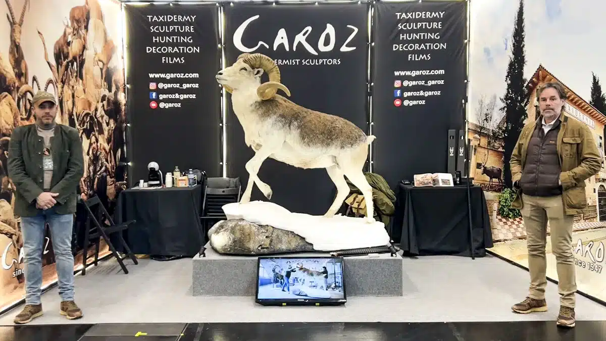 Taxidermia Garoz acude a la feria de caza de Salzburgo, una de las más ...