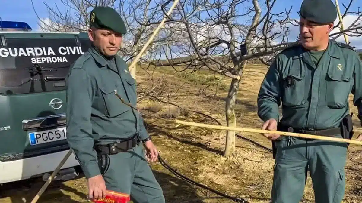 La Guardia Civil se lleva una sorpresa al descubrir a un furtivo usando ...