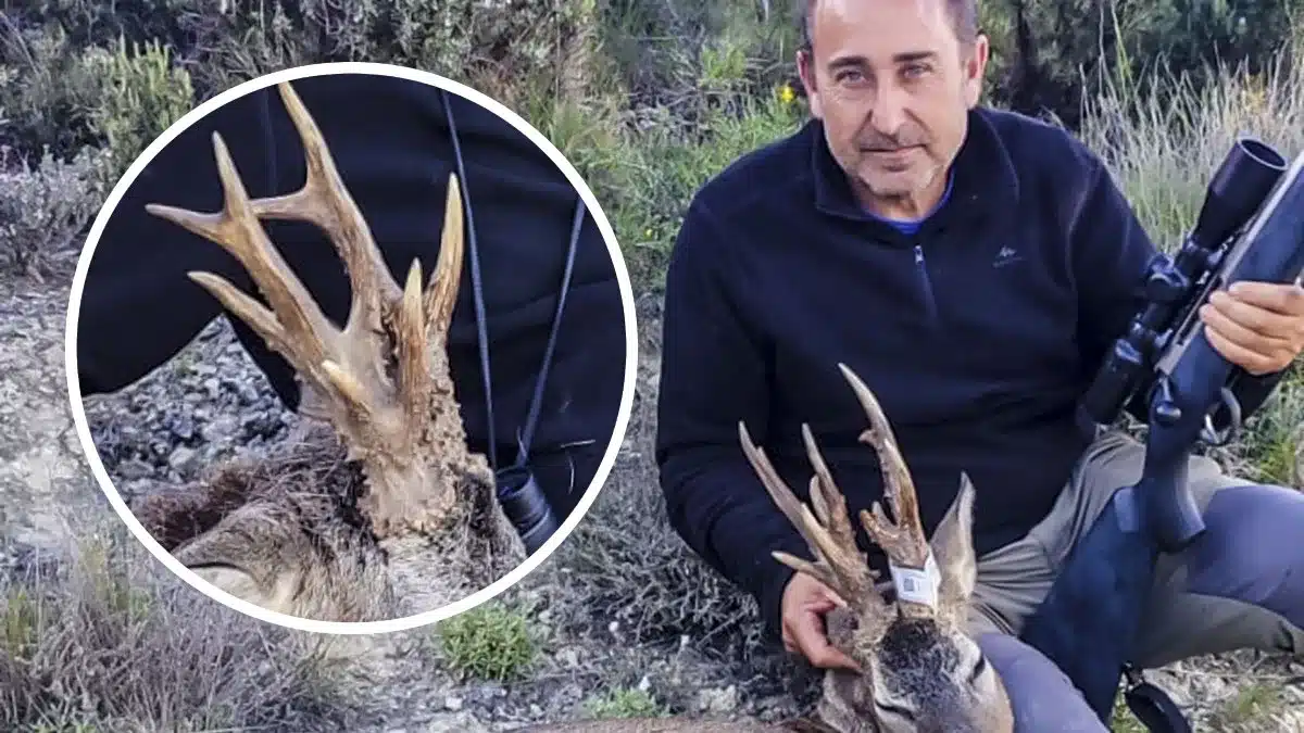 Cazan un espectacular corzo de 11 puntas en un coto deportivo de Zaragoza