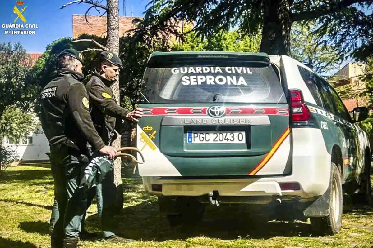 La Guardia Civil se lleva una sorpresa al abrir el arcón congelador de ...