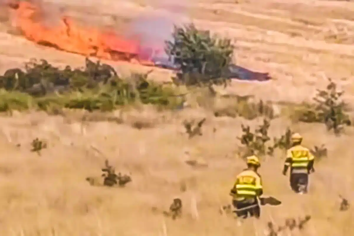 Graban en Zamora cómo nace un incendio y cómo corre más rápido que los ...