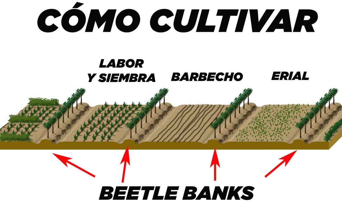 Caza menor: cinco mejoras para tener el coto de perdiz o conejo ideal