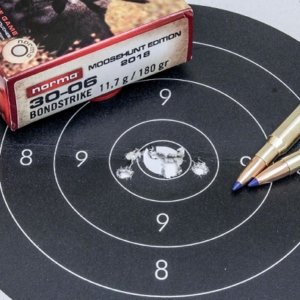 Caza mayor: ¿Cuáles son las balas de rifle más usadas en España?