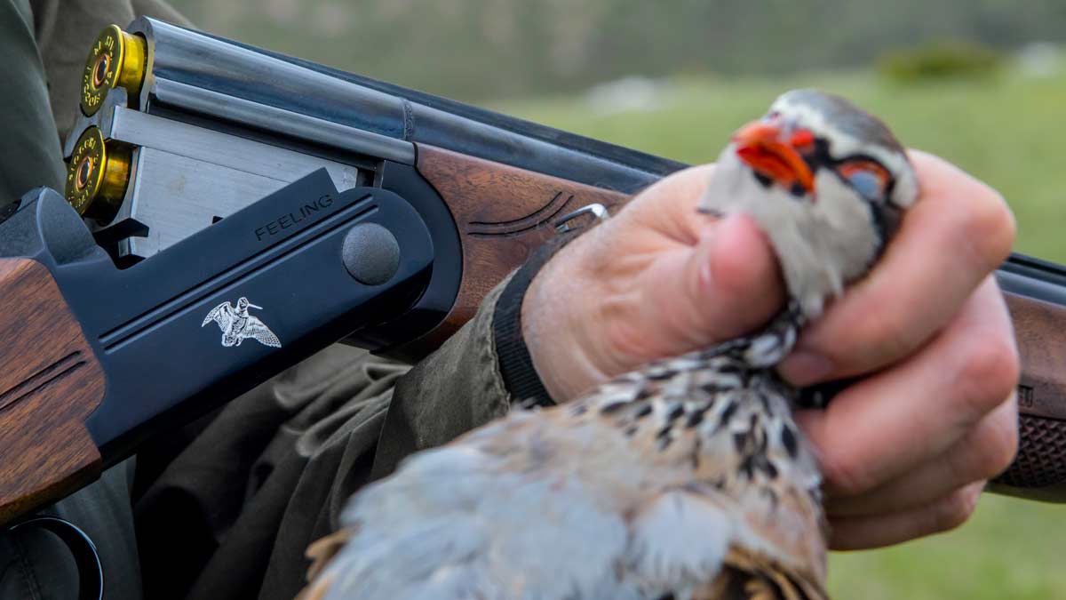 Cuatro cualidades que debes tener para ser un cazador todoterreno